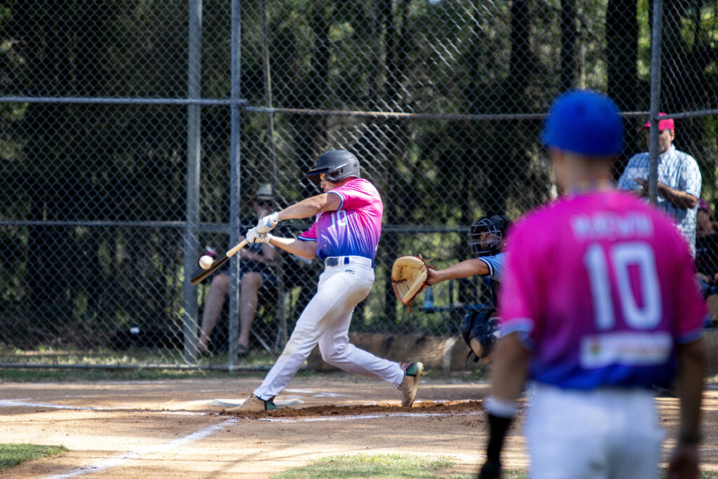 Liz McKewin Pink Day 2024 – Thornleigh Baseball